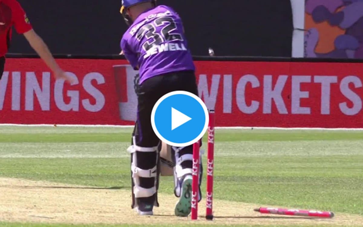 Watch David Moody Bowled Caleb Jewell In Big Bash League in Hindi - 5 ...
