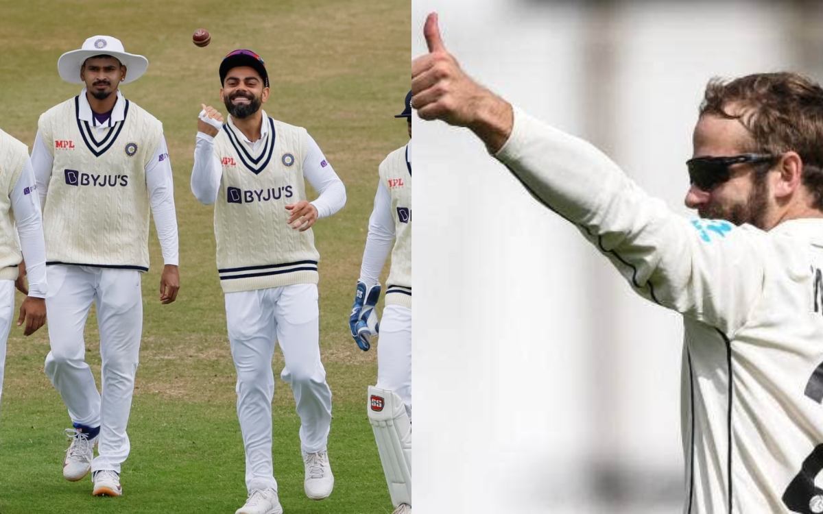 Team India Reach World Test Championship Wtc Final After New Zealand ...