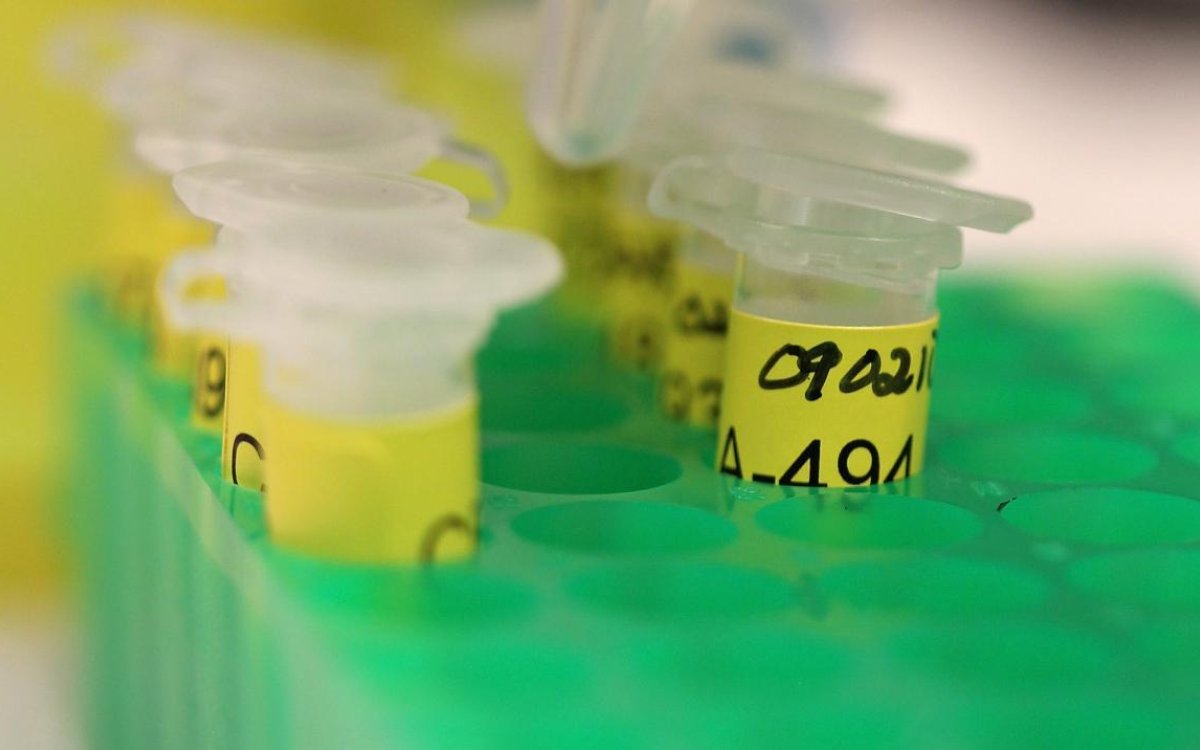 IPC Bans Iraqi Powerlifter Thaer Al Ali For Anti-doping Rule Violation On Cricketnmore