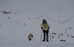 Tenzin dolma: Latest News, Schedules, and Results | Cricketnmore