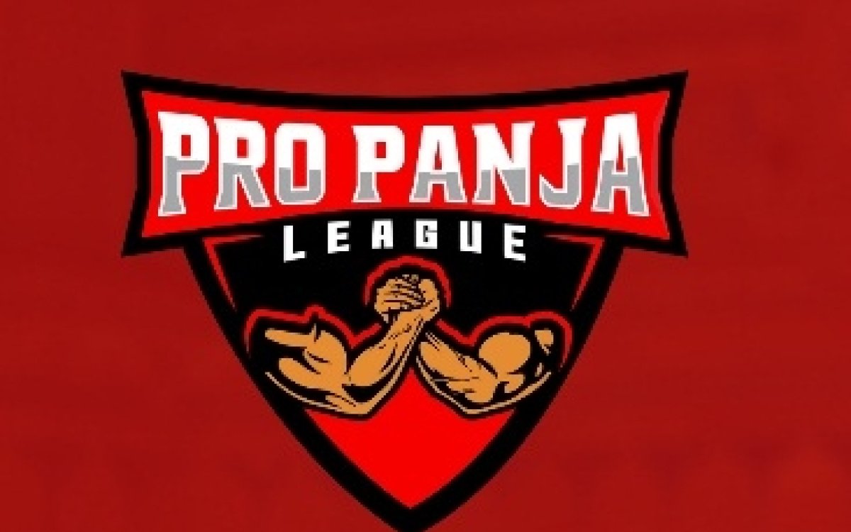 Pro Panja League Season 2 Set To Begin In Gwalior With Six Teams Eying ...